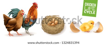 Hen Clipart | Free download on ClipArtMag