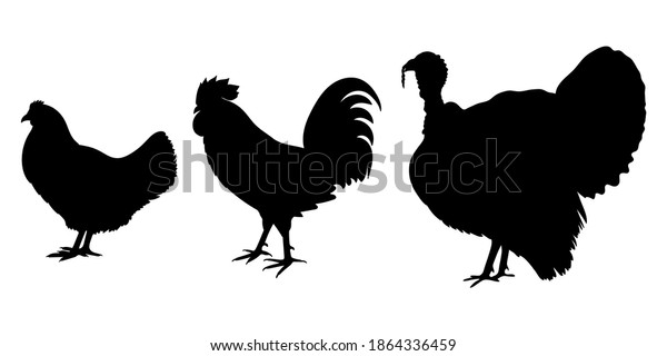 Chicken Rooster Turkey Black Silhouettes Poultry Stock Vector (Royalty ...