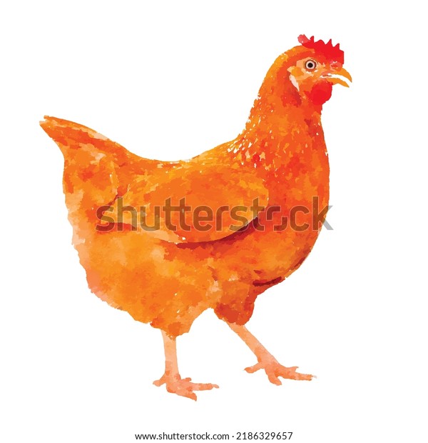 6 Gallina logo 图片、库存照片和矢量图 | Shutterstock