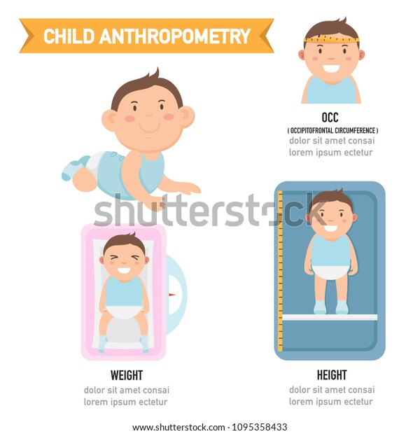 Child Anthropometry Infographicvector Illustration Stock Vector ...
