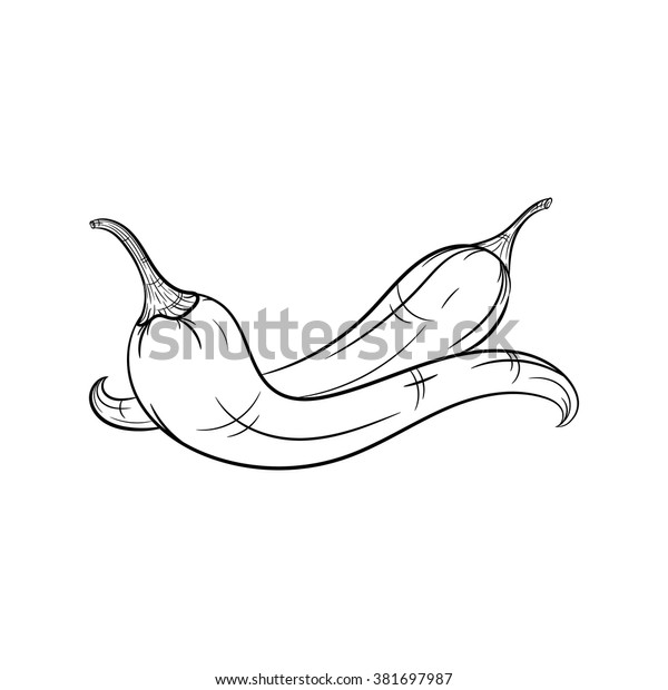 Chilli Sketch Hand Drawn Illustration Isolated 스톡 벡터(로열티 프리) 381697987 ...
