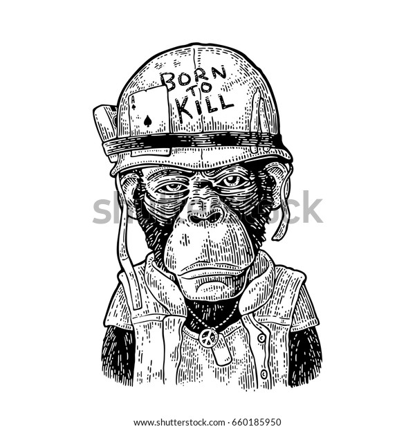 Chimpanzee Monkey Dressed Human Soldier Helmet Stock Vector (Royalty ...