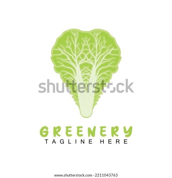 Chinese Cabbage Logo Design Green Plant Stock Vector (Royalty Free ...
