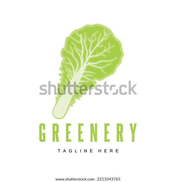 Chinese Cabbage Logo Design Green Plant Stock Vector (Royalty Free ...