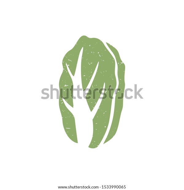 Chinese Cabbage Symbol Isolated On Transparent Stock Vector (Royalty ...