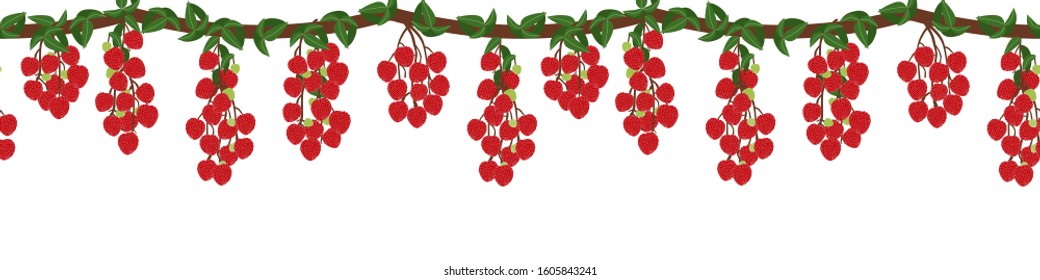 Chinese Summer Fruit Lychee Frame Border Stock Vector (Royalty Free ...