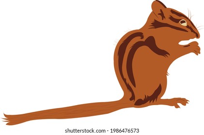Chipmunks Vector Illustration Animal Vector Stock Vector (Royalty Free ...