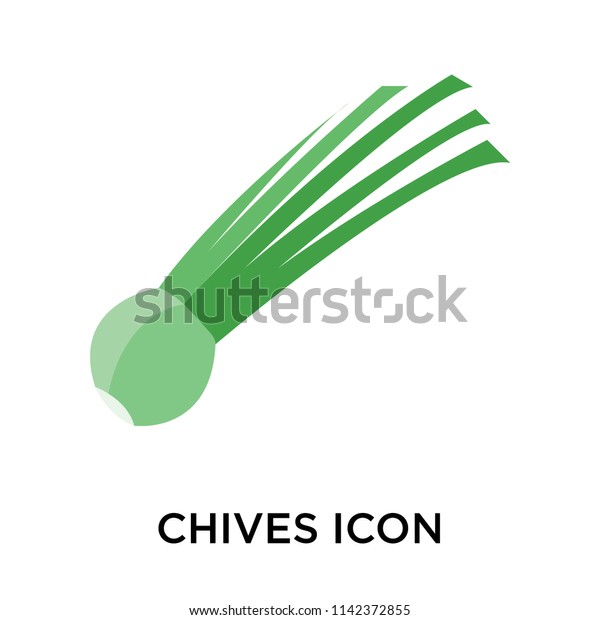 Chives Icon Vector Isolated On White Stock Vector (Royalty Free ...