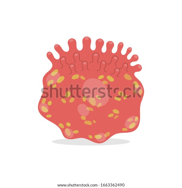 Chlamydia Disease Microorganisms Vector Illustration Isolated Stock ...