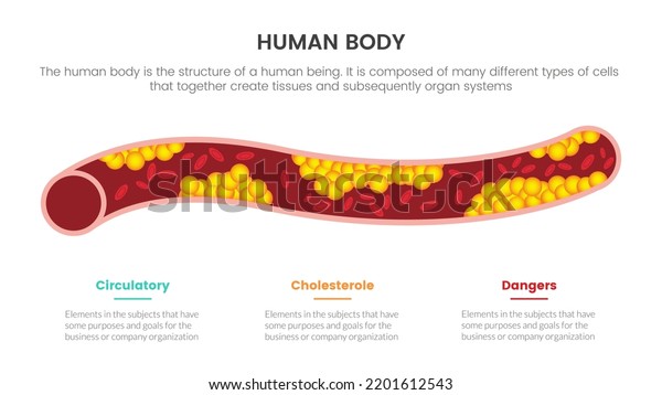 Cholesterol Human Anatomy Infographic Concept Slide Stock Vector ...