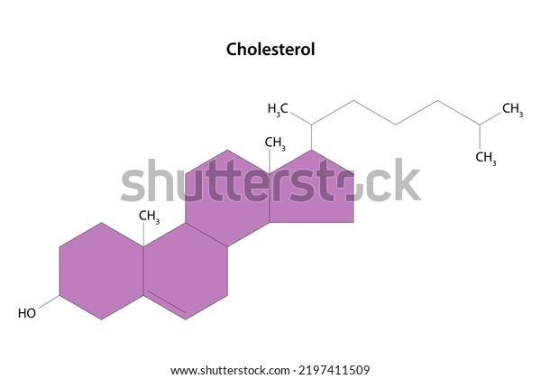 Cholesterol Molecule Structural Formula Essential Component Stock ...