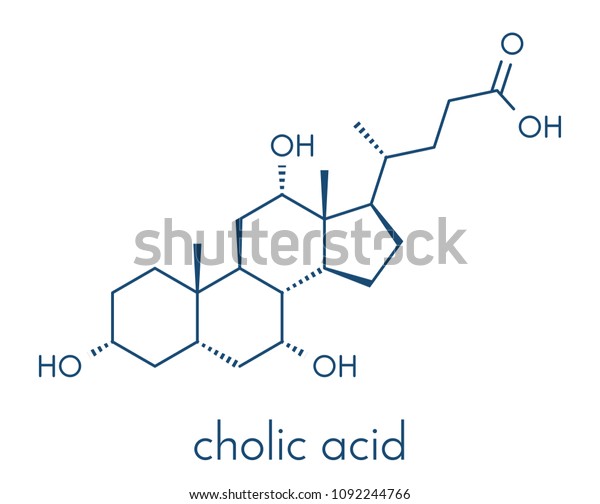 Cholic Acid Cholate Molecule Main Bile Stock Vector (Royalty Free ...