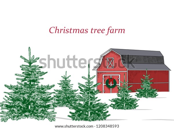 Christmas Tree Farm Landscape Christmas Trees Stock Vector (Royalty ...
