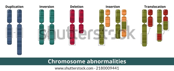 Chromosome Abnormalities Visualization Common Chromosomal Mutation ... Chromosome Abnormalities Visualization Common Chromosomal Mutation ...