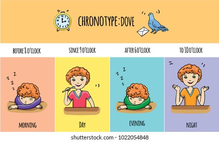 78 Chronotypes Images, Stock Photos & Vectors | Shutterstock