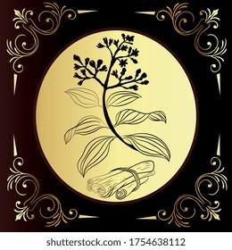 Cinnamon Plant Line Drawing Vector Stock Vector (Royalty Free ...