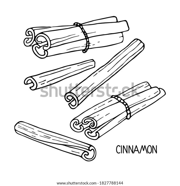 Cinnamon Sketch Set Hand Drawn Vector Stock Vector (Royalty Free ...