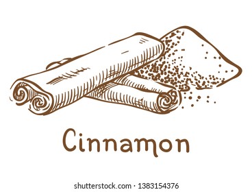 Cinnamon Vector Sketch Hand Drawing Stock Vector (Royalty Free ...