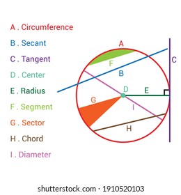 Circle Terms Geometry Parts Circles Stock Vector (Royalty Free ...