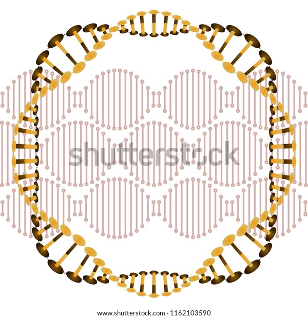 Circular Dna Chain Science Icon Stock Vector (Royalty Free) 1162103590 ...