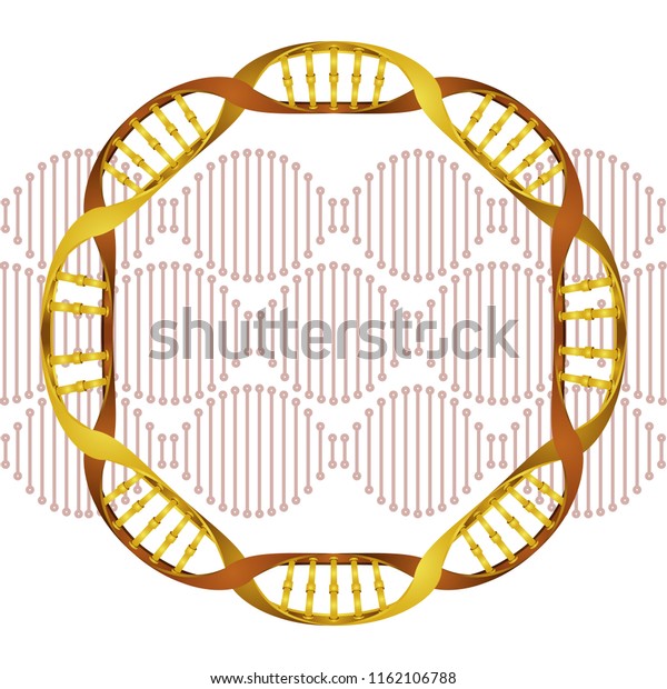 Circular Dna Chain Science Icon Stock Vector (Royalty Free) 1162106788 ...