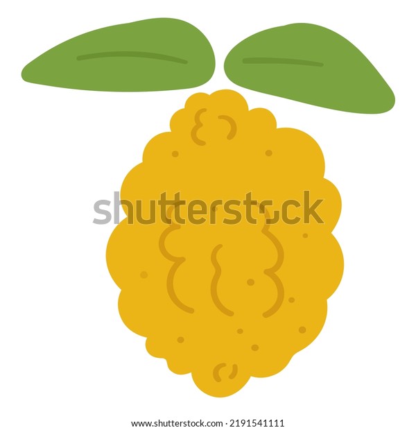 Citron Flat Illustration On White Background Stock Vector (Royalty Free ...