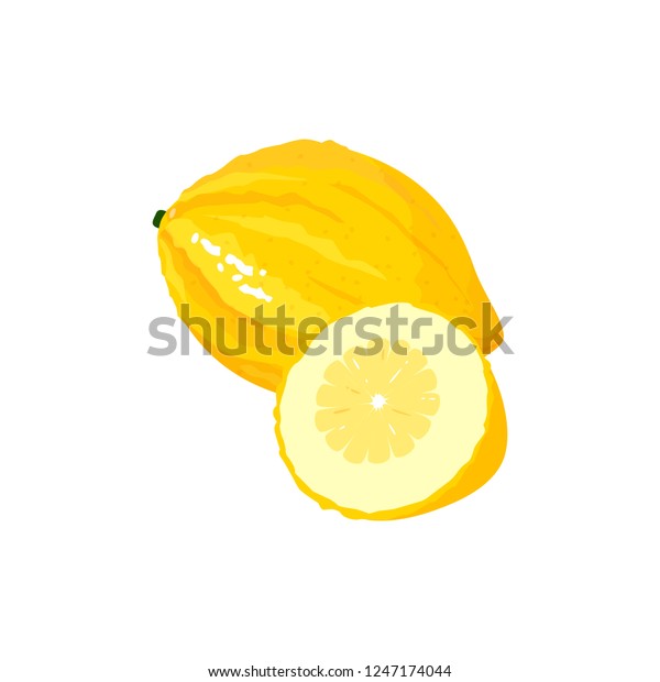 Citron Isolated On White Background Bright Stock Vector (Royalty Free ...