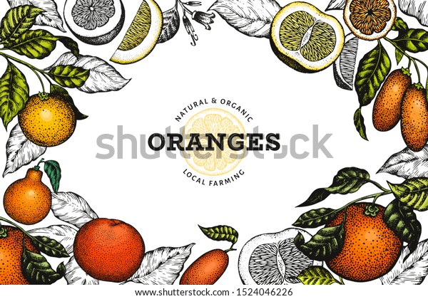 Citrus Design Template Hand Drawn Vector Stock Vector (Royalty Free ...