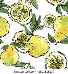 Citrus Sketch Pattern Drawing Ink Watercolors Stock Vector (Royalty ...
