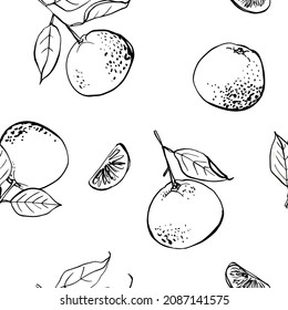 Citrus Sketch Pattern Drawing Ink Line Stock Vector (Royalty Free ...
