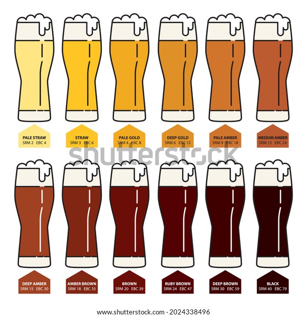 Classification Beer By Color 12 Main Stock Vector (Royalty Free ...
