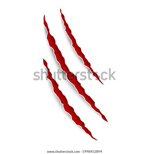 Claw Animal Tracks Three Claws Scratches Stock Vector (Royalty Free ...
