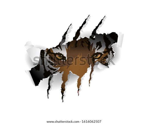3,181 Scratch Tiger Stock Vectors, Images & Vector Art | Shutterstock