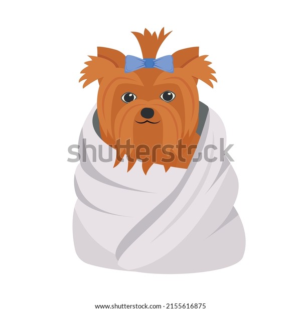 245 Towel Animation Images, Stock Photos & Vectors | Shutterstock