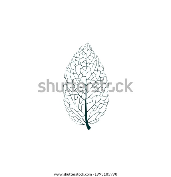 9,566 Leaf Fibers Stock Vectors, Images & Vector Art | Shutterstock