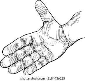 Close Hand Giving Gesture Hand Language Stock Vector (Royalty Free ...