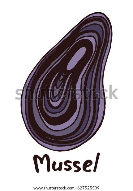 Closed Mussel Shell Top View Hand Stock Vector (Royalty Free) 627525509 ...