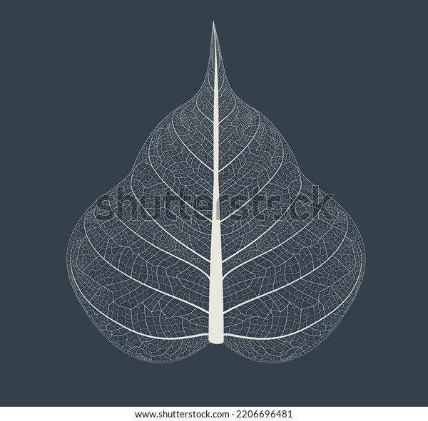 Closeup Dried Skeleton Leaves On Dark Stock Vector (Royalty Free ...