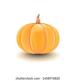 Closeup Isolated Realistic Pumpkin Shadow On Stock Vector (Royalty Free ...