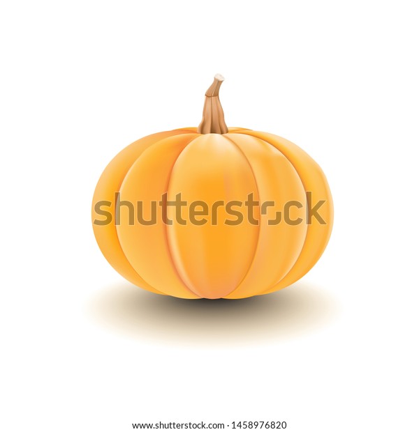Closeup Isolated Realistic Pumpkin Shadow On Stock Vector (Royalty Free ...