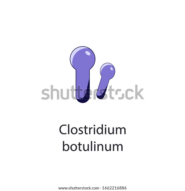 Clostridium Botulinum Bacterial Microorganism Vector Illustration Stock ...
