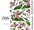 318,063 Clove Royalty-Free Photos and Stock Images | Shutterstock