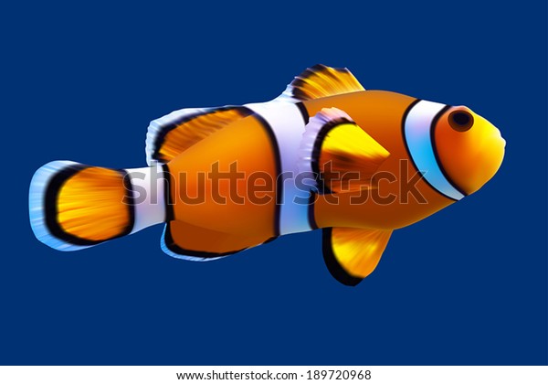 Clownfish Vector Illustration Isolated On Blue Stock Vector (Royalty ...