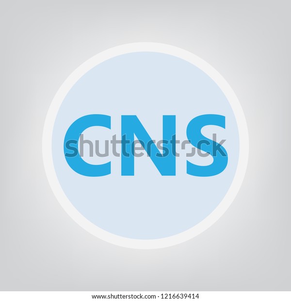 Cns Central Nervous System Acronym Vector Stock Vector (Royalty Free ...