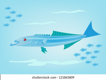 541 Cobia fish Images, Stock Photos & Vectors | Shutterstock