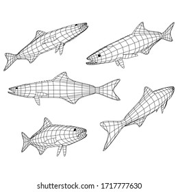 107 Cobia Stock Illustrations, Images & Vectors | Shutterstock