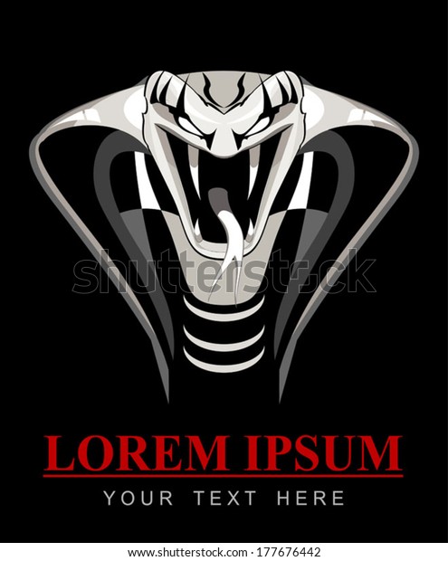 Cobra Angry Wild Cobra Appears Dark Stock Vector (Royalty Free) 177676442