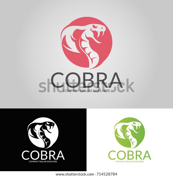 Cobra Logo Three Versions Easy Change Stock Vector (Royalty Free ...