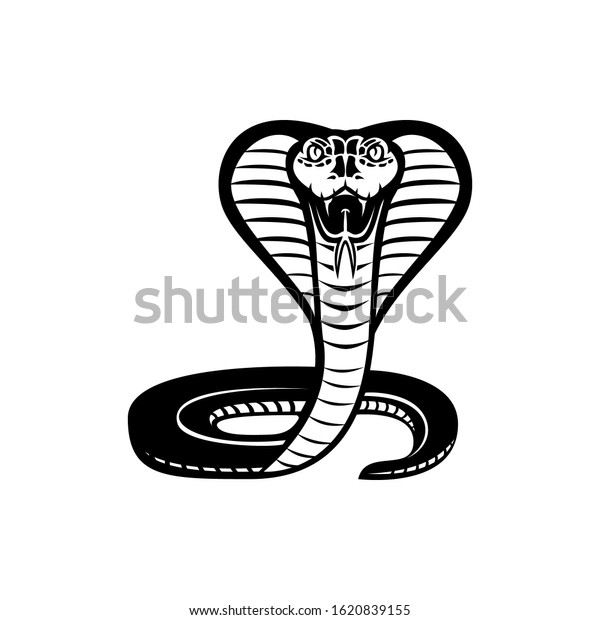 Cobra Vector Illustration Isolated Snake Symbol Stock Vector (Royalty ...