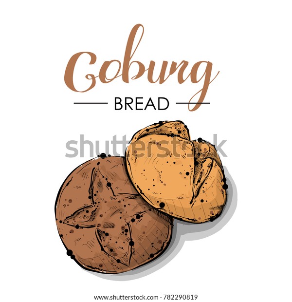 Coburg Bread Drawing Sketch Style Vector Stock Vector (Royalty Free ...